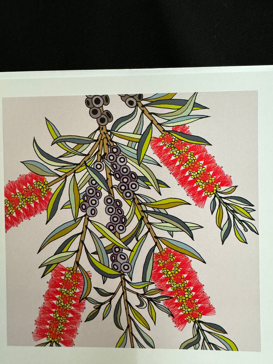 Australian Native Cards -Artist designed – Gracious Giving Stanthorpe